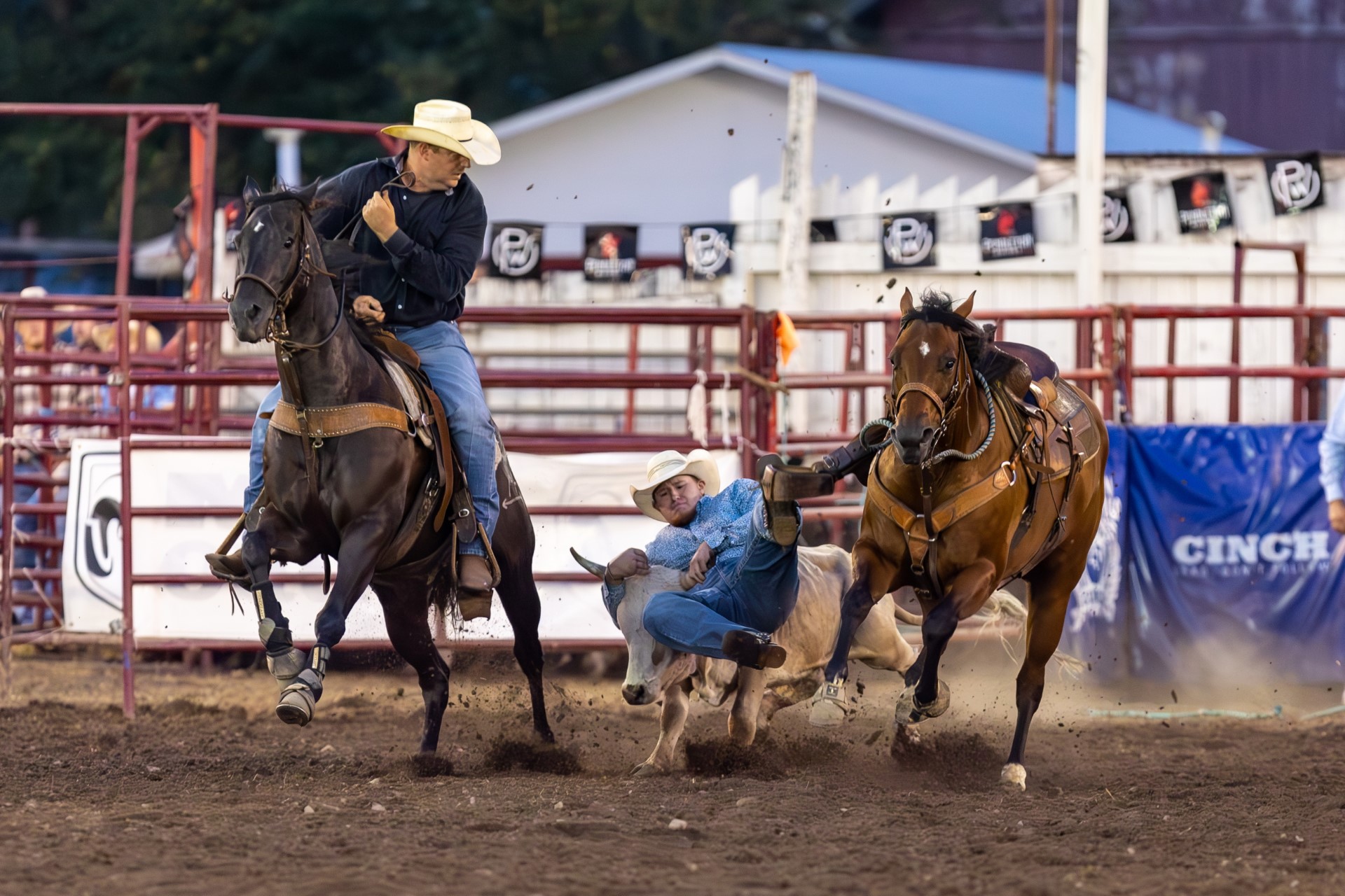 ‘Record’ four nights | News, Sports, Jobs - Times Observer